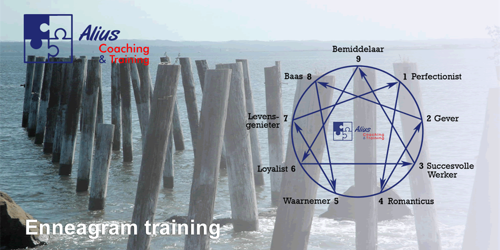 Enneagram training volgen in Drachten | Alius Coaching & Training